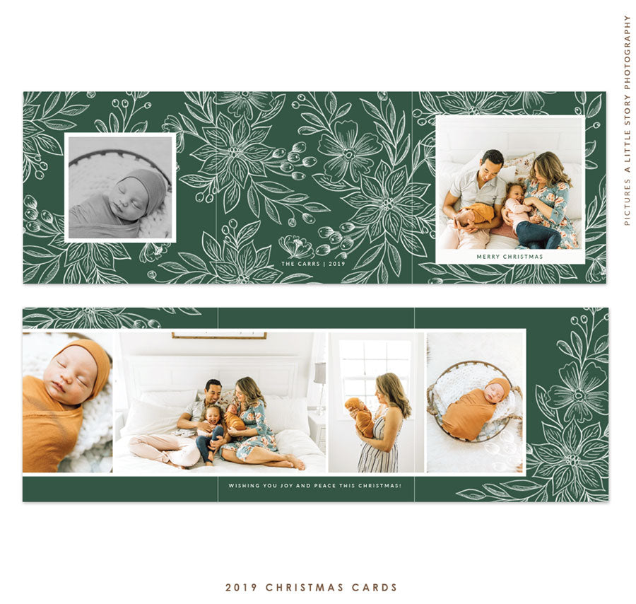 Holiday accordion card 5x5 (Trifolded) | Cypress Gardens – Birdesign