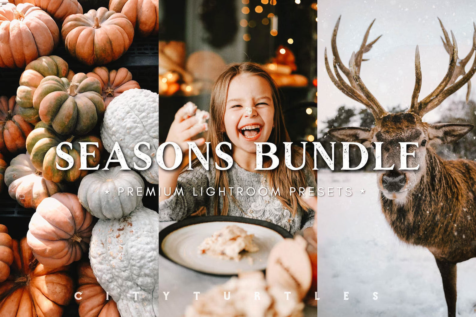 THE SEASONS BUNDLE – Birdesign