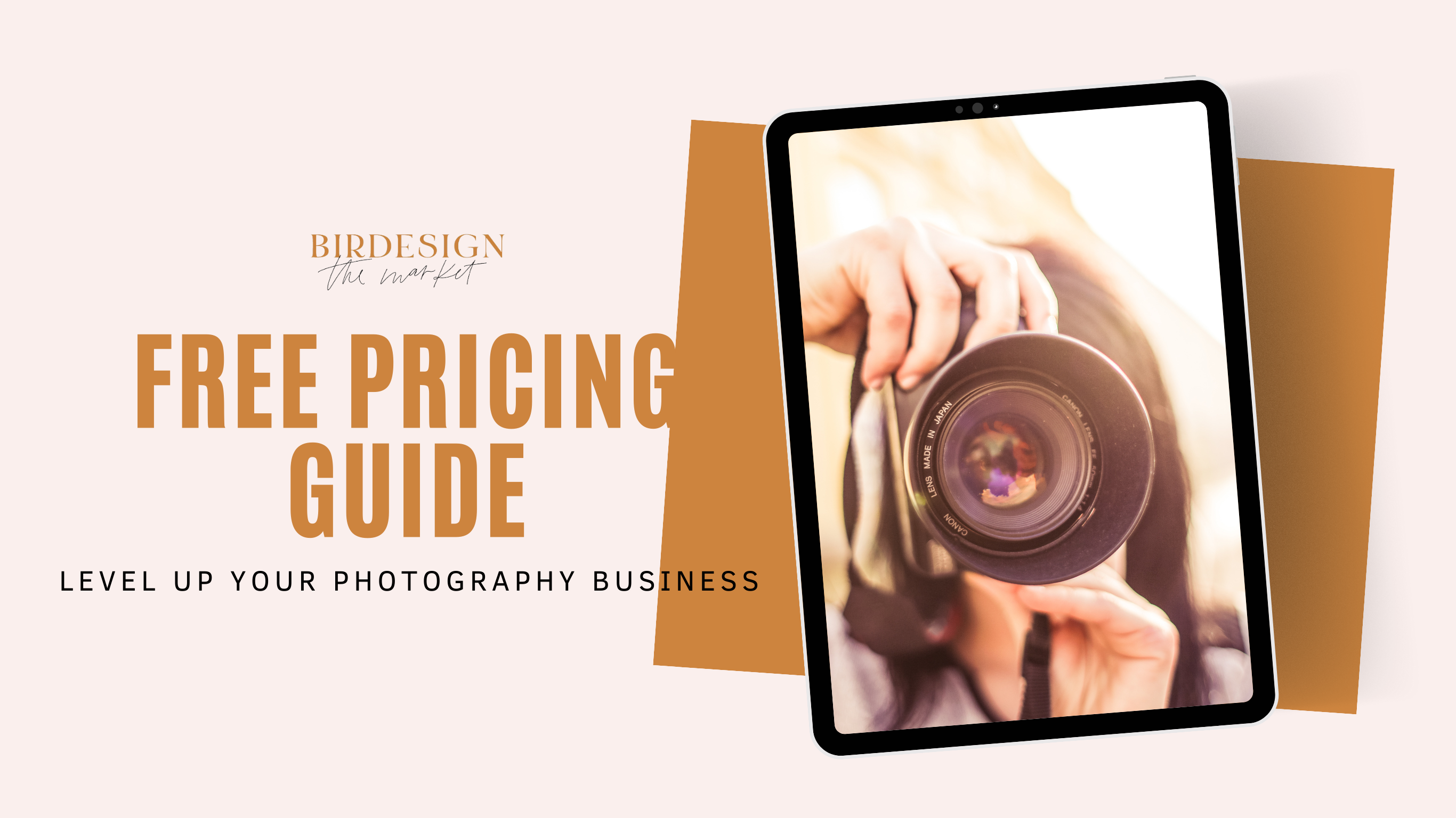Make Selling Easy With Birdesign's Free Pricing Guide Template!