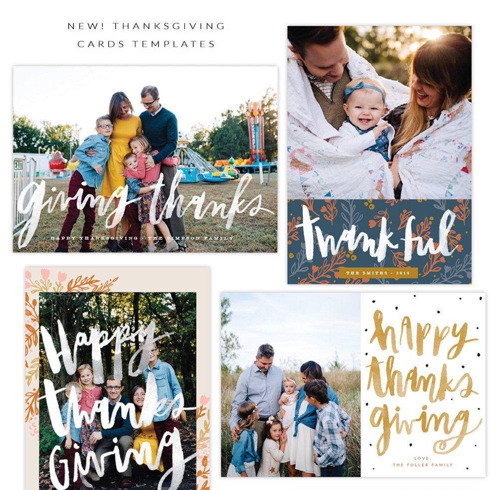 New Thanksgiving Collection – Birdesign