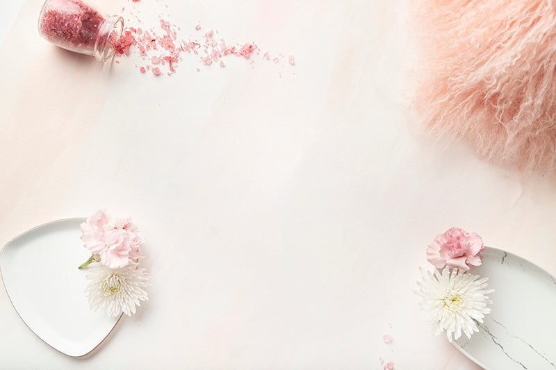 Carnation Blush Stock Image - Blush Background – Birdesign