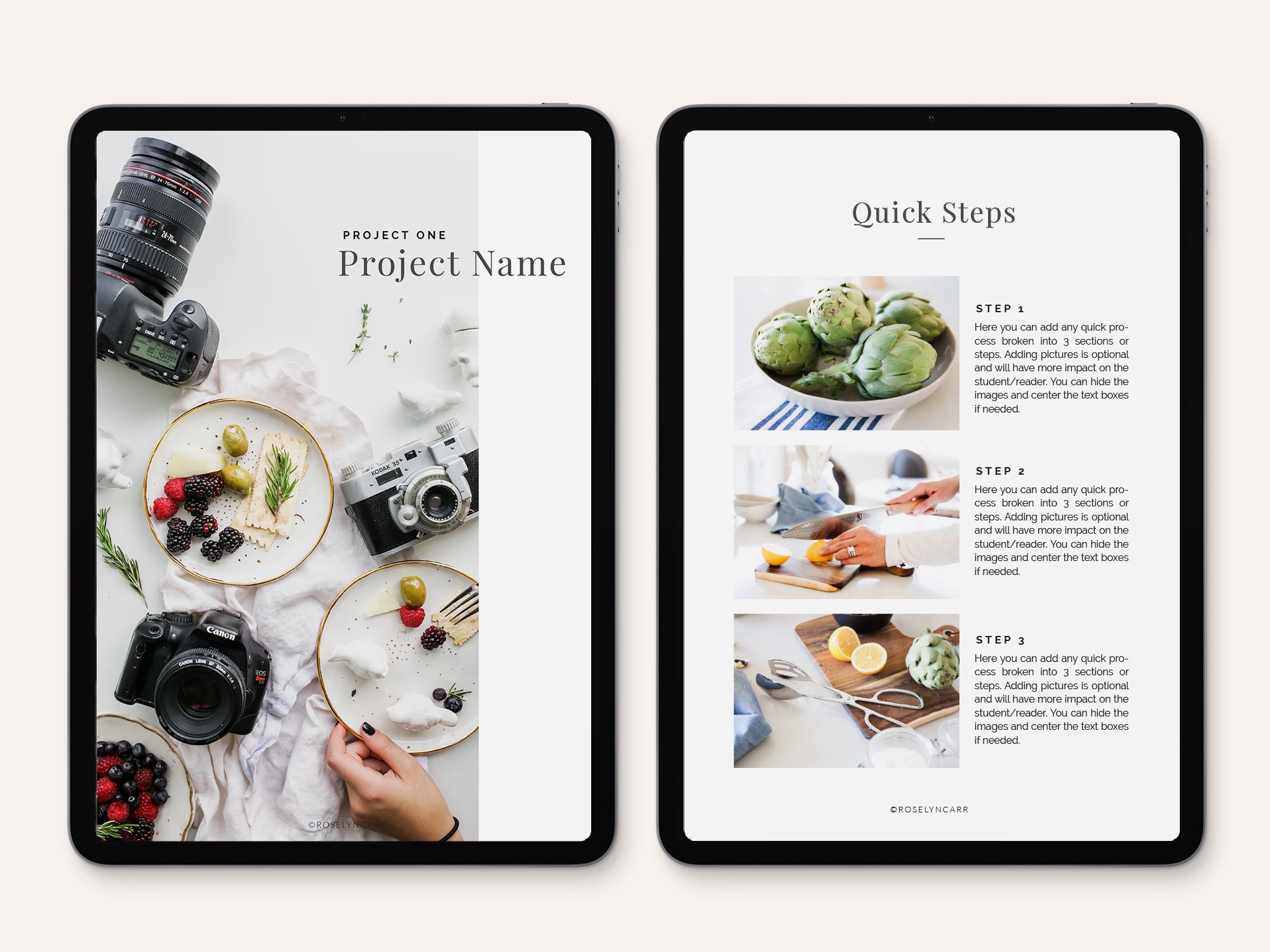 PDF TUTORIAL & HOW TO GUIDE TEMPLATE – Birdesign