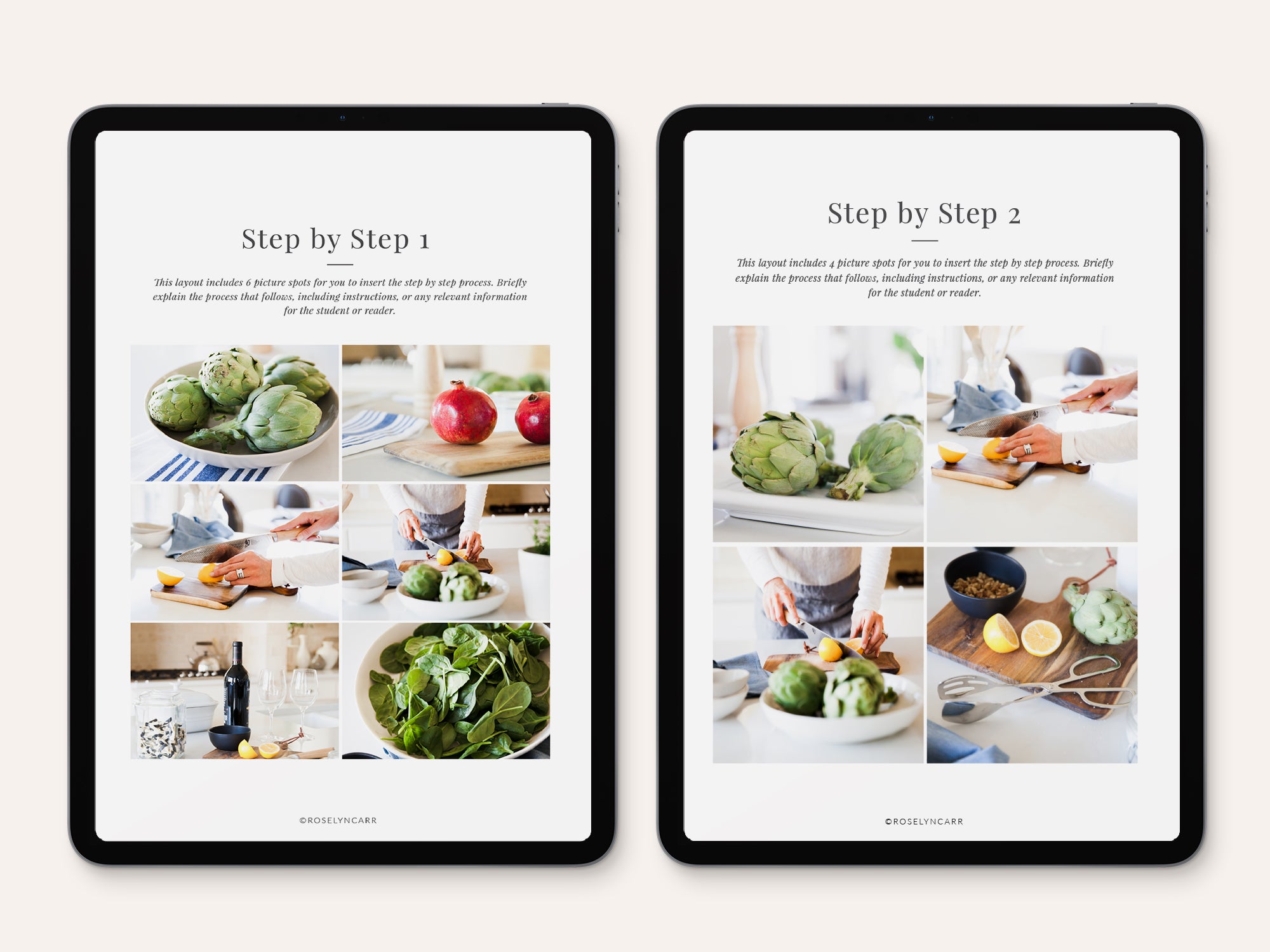 PDF TUTORIAL & HOW TO GUIDE TEMPLATE – Birdesign