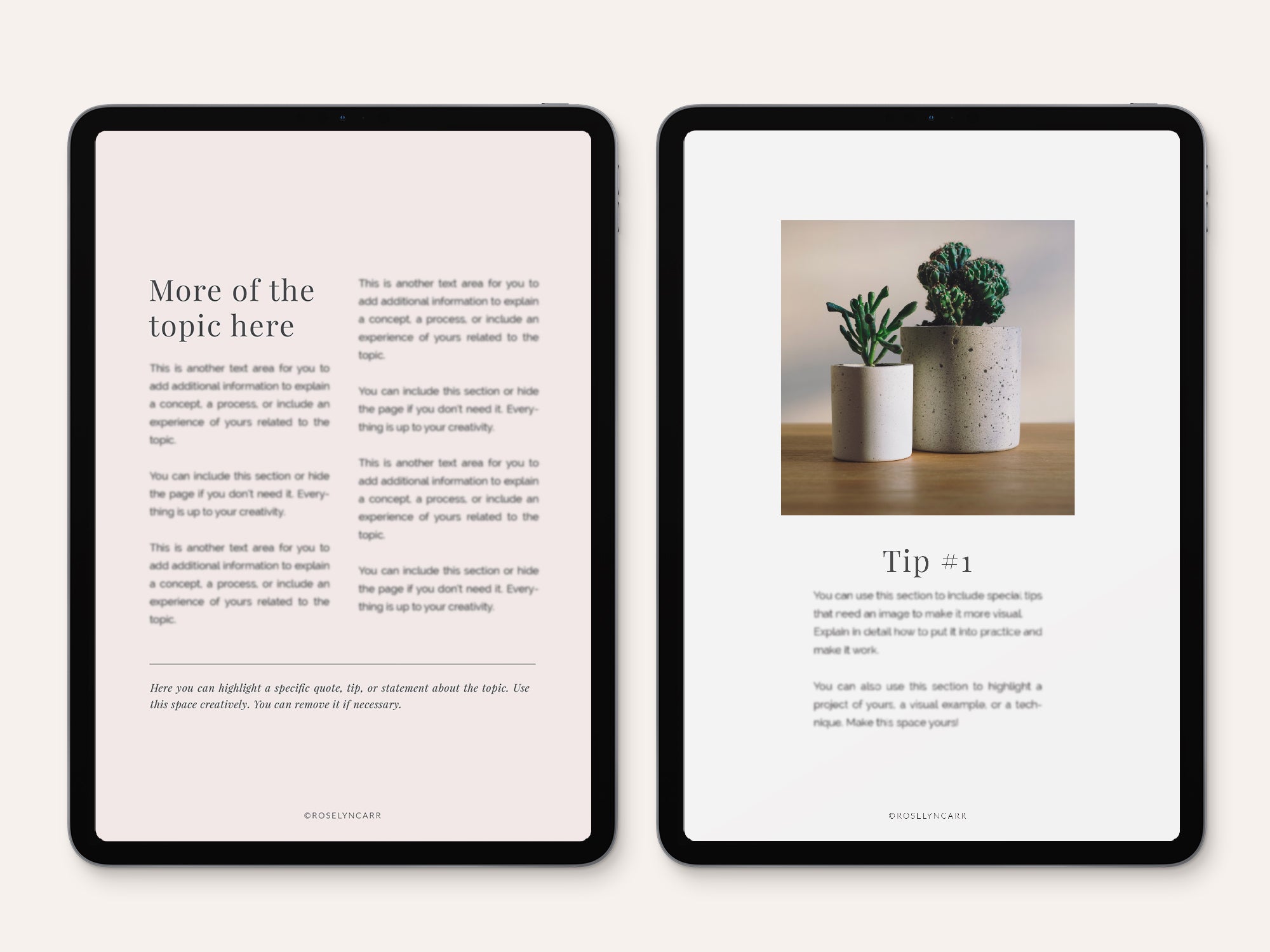PDF TUTORIAL & HOW TO GUIDE TEMPLATE – Birdesign