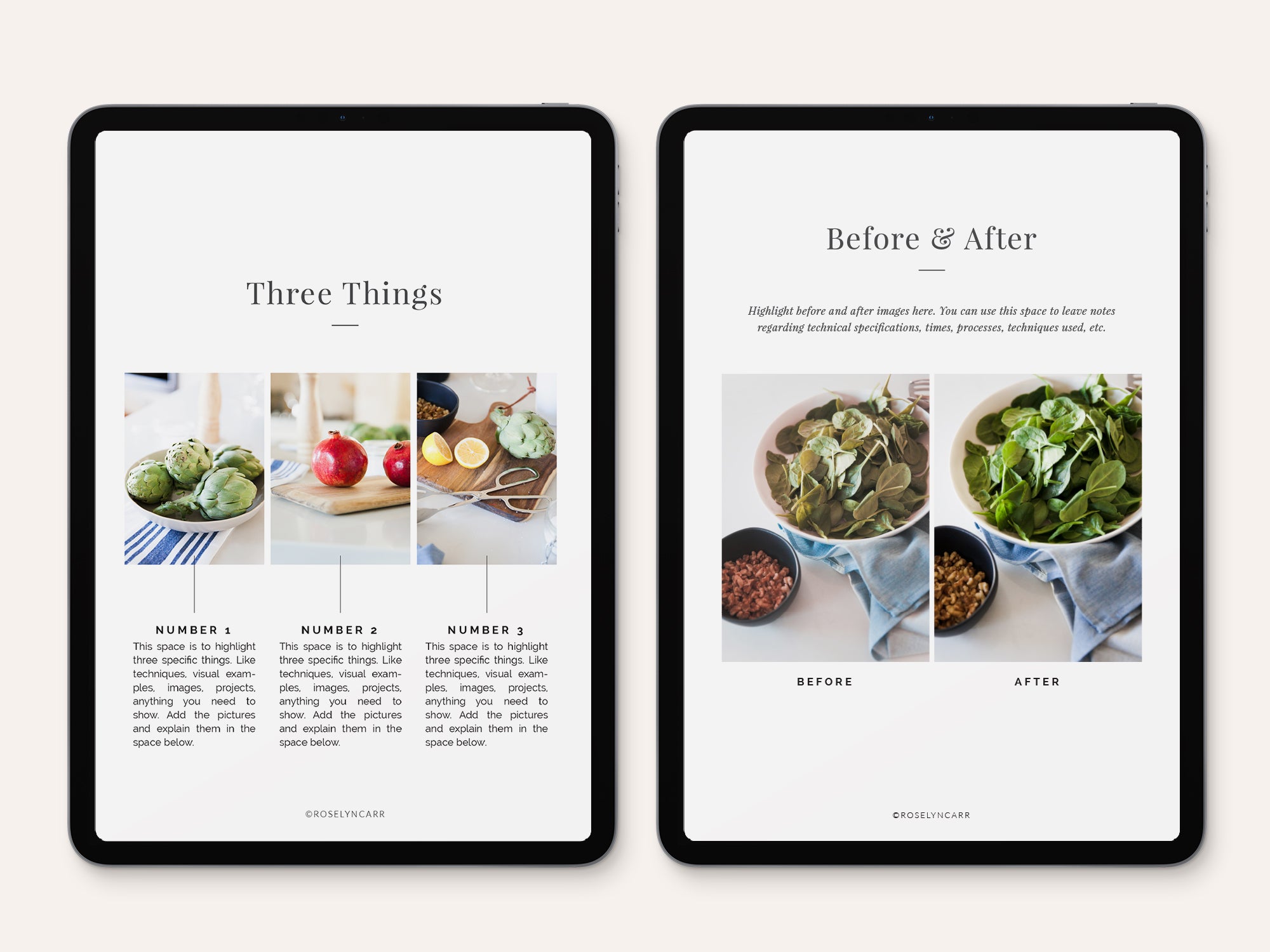 PDF TUTORIAL & HOW TO GUIDE TEMPLATE – Birdesign
