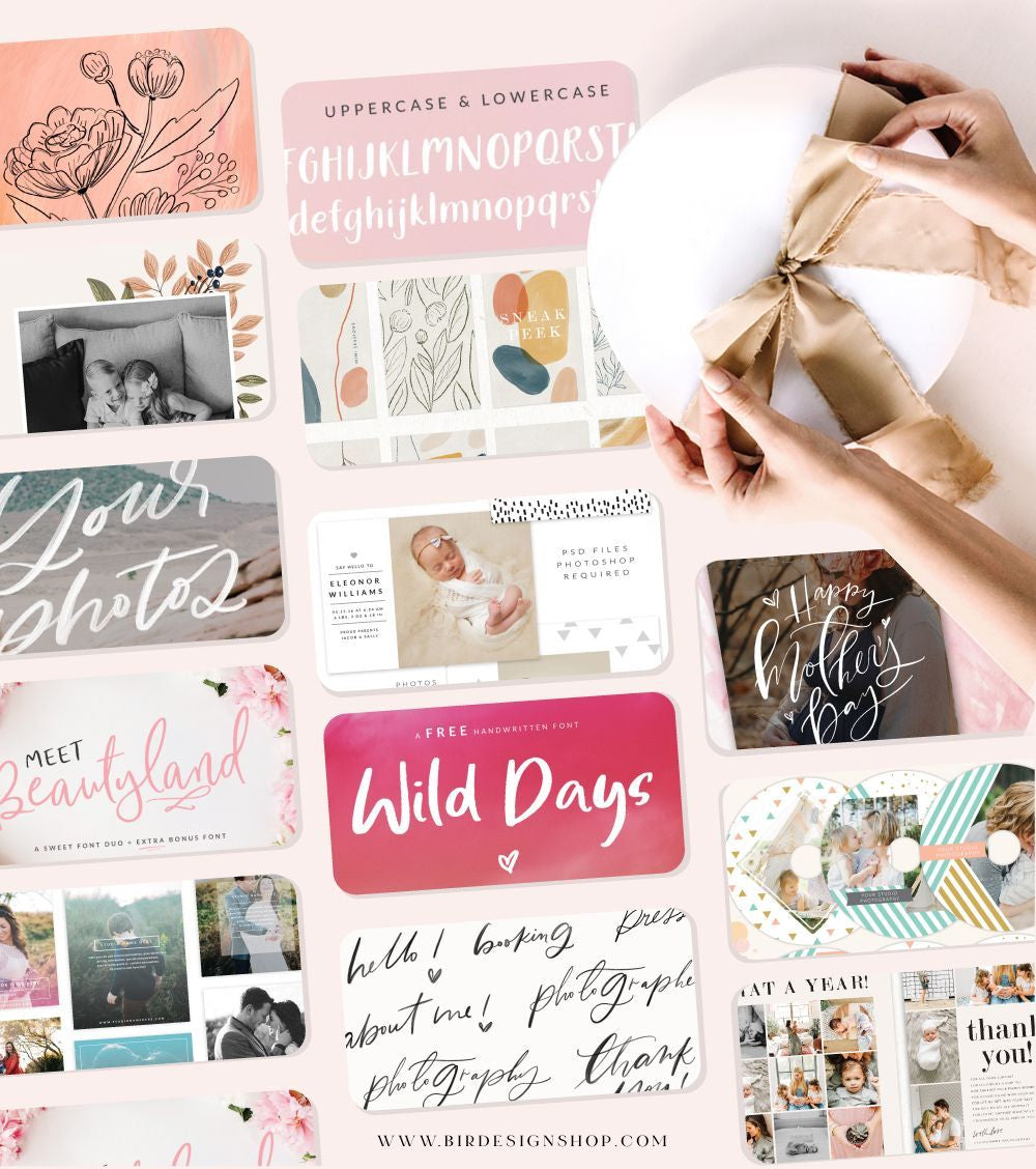 Ultimate Creator Bundle – Birdesign