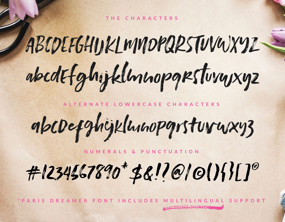 Paris Dreamer Script + Bonus font – Birdesign