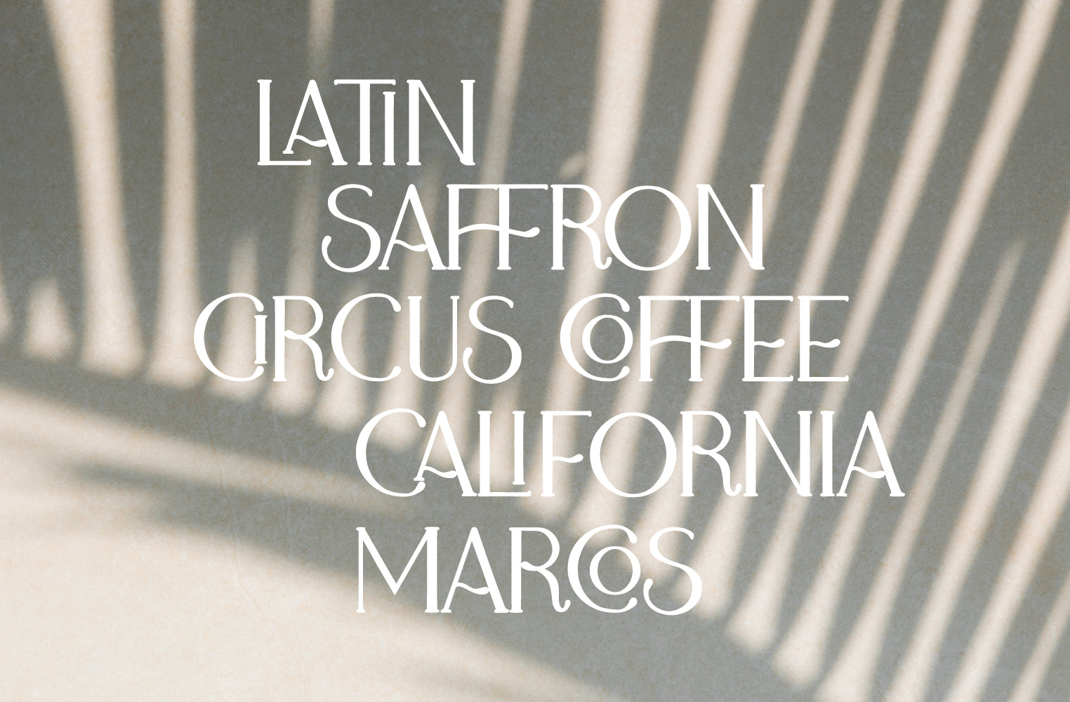 Adele Moon Serif Font – Birdesign