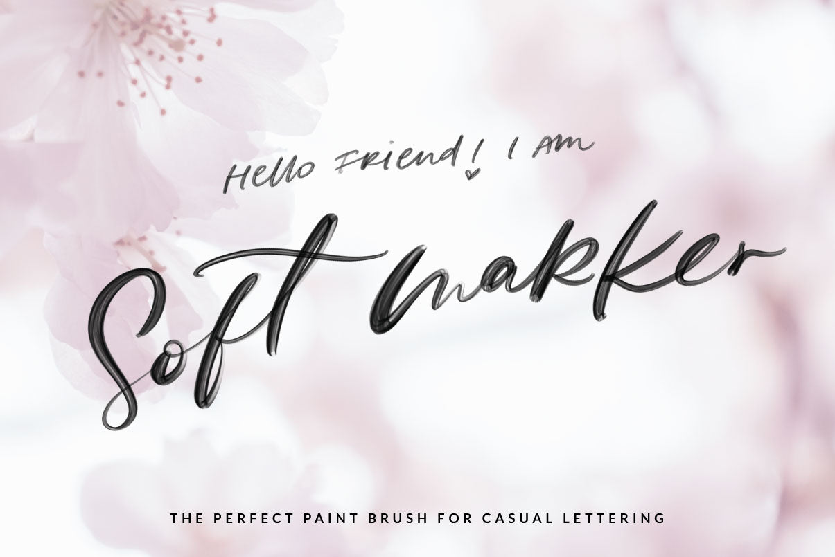 The Modern Lettering Brush Set - For Ipad Pro Lettering – Birdesign