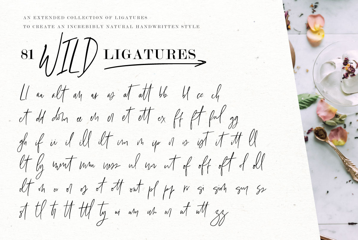 Wild & Rad Handwritten Script Font – Birdesign