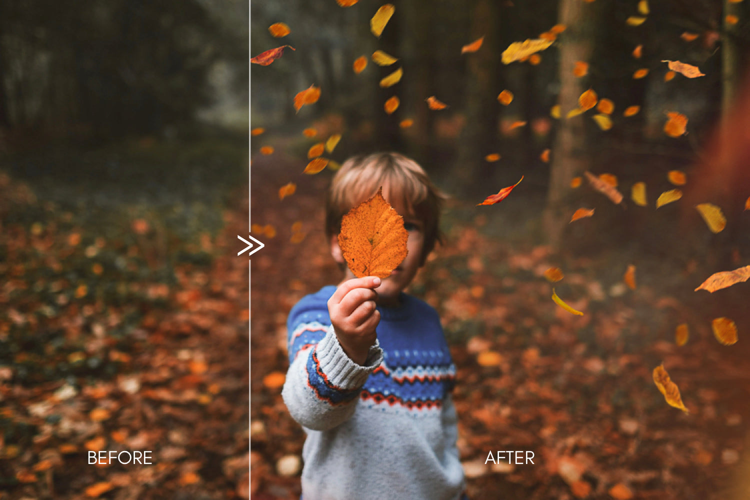 70 Natural Falling Autumn Leaves Photo Overlays – Birdesign