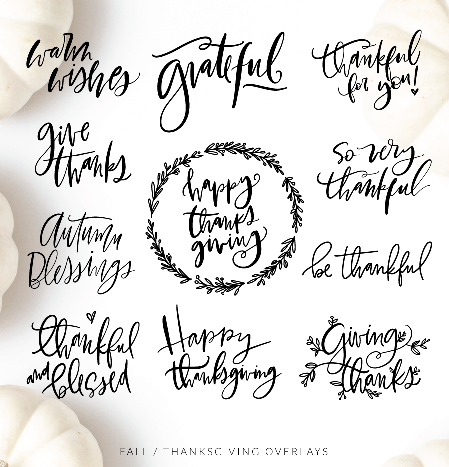 Fall Thanksgiving Photo Overlays | Thank You Letter – Birdesign